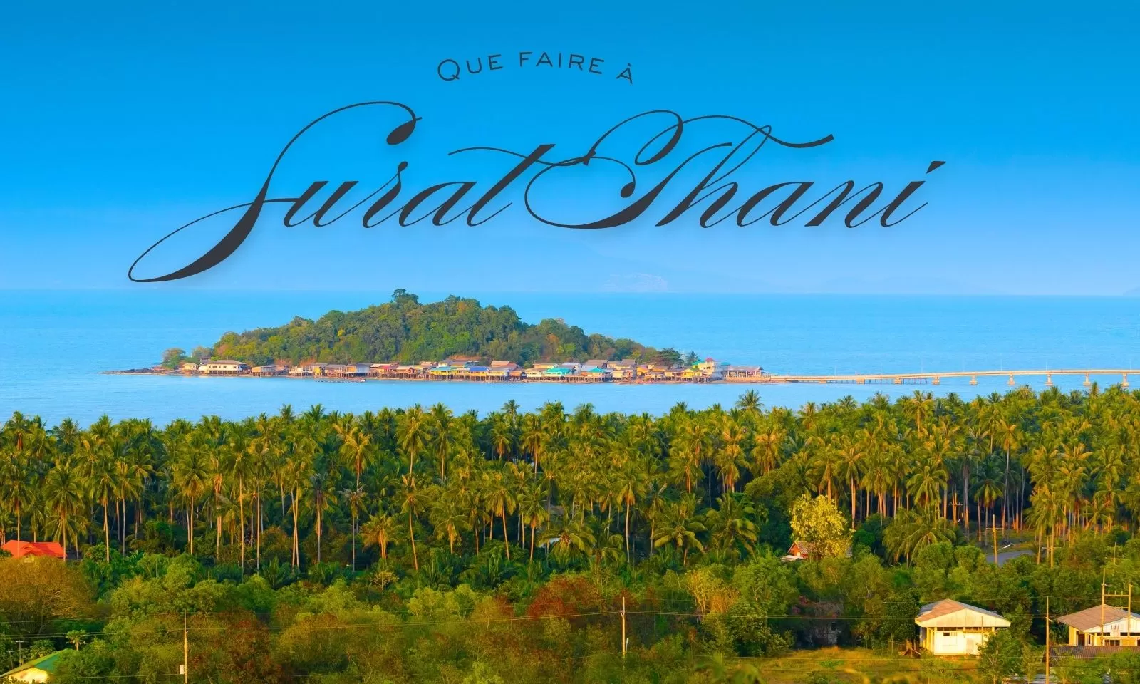 Que faire à Surat Thani