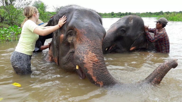 Que faire en Thailande ? Top 26 choses à faire et visiter